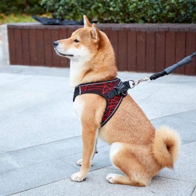 China Comfort Puppy Lightweight Padded No Pull Pet Vest for sale