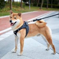 China Comfort Puppy Lightweight Padded No Pull Pet Vest for sale