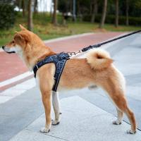 China Comfort Puppy Lightweight Padded No Pull Pet Vest for sale