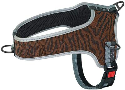 China Escape Proof Safety Buckle 23.5