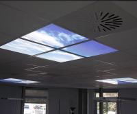 China Aluminum Housing 600x600mm 6000lm LED Ceiling Panel Light for sale