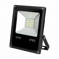 China Warm White Ip65 30W Waterproof LED Flood Lights 3 Warranty Years for sale