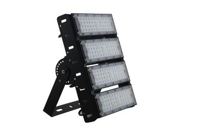 China Waterproof Basketball Led Flood Light 100w Ip66 CE Rohs Approved for sale