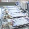 China Sterile Disposable Blood Transfusion Bag 200ml-500ml with CPDA-1 Anticoagulant ISO13485 Certified for sale