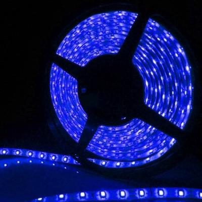 China LED strip 5050 SMD 12V flexible light 60LED/m,5m 300LED,White,White warm,Blue,Green,Red for sale