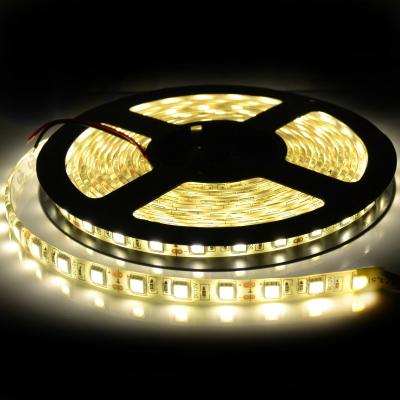 China LED strip 5050 smd light 12V 24V IP65 Warm White 60LEDs per meter 300LEDs 5m 3 resistences for sale