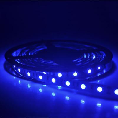 China 60SMD per meter 12V 5050 LED trip light 5m IP65 for sale