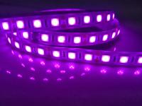 China PINK LED strip Led light strip flexible 5050 300SDM 5M meter LEDs 60LEDs/m high LUMEN JALN7 for sale