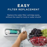 China Refrigerator Water Filter Replace Every 6 Months For Optimal Water Purification for sale