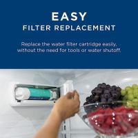 China Upgrade Your Refrigerator with 0V Coconut Shell Activated Carbon RPWFE Water Filters for sale