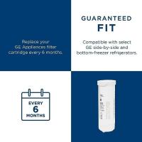 China Replacement XWFE Refrigerator Water Filter Pack of 1 for Filtered Drinking Water for sale