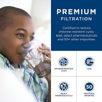 China White NSF42/NSF53 Certified Refrigerator Water Filter for Lead and Sulfur Elimination for sale