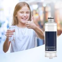 China RF23M8070SG RF23M8070SR RF23M8090SG RF23M8090SR RF23M8570SR RF23M8590SG 0V Refrigerator Water Filters for sale