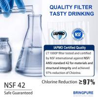 China LT1000P Refrigerator Water Filters Natural Coconut Replacement with Activated Carbon for sale