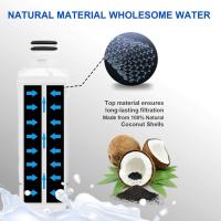 China LT1000P Refrigerator Water Filters Natural Coconut Replacement with Activated Carbon for sale