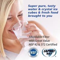 China LT1000P Refrigerator Water Filters Natural Coconut Replacement with Activated Carbon for sale