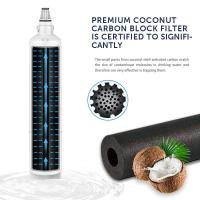 China LT600P/5231JA2006A/5231JA2006B Filter 4 App-Controlled No Refrigerator Water Replacement for sale