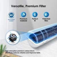 China WDP-F19 Certified Refrigerator Waters Filter Replacement Cartridge with Private Mold for sale