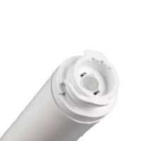 China 101820A 101821B 101821-B Refrigerator Water Filter With Flow Rating 0.5gpm for sale