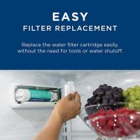 China Top- RPWFE Refrigerator Water Filters Replacement for Lead Sulfur and Other Impurities for sale