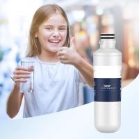 China Odor-Reducing LT1000PC Replacement Refrigerator Water Filter Compatible with ADQ747935 ADQ74793504 LT120F ADQ73334008 Fresh Air Filter for sale