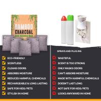 China OEM LOGO Activated Bamboo Charcoal Air Purifying Bag Odor Absorber 10x100g with Hooks for sale