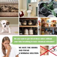 China Natural Air Purification with Activated Bamboo Charcoal Bags OEM and MSDS Certified for sale