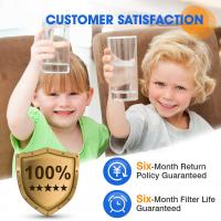 China EDR6D1 Filter 6 Replacement for 4396701 9915 09915 04609915000P Refrigerator Water Filter for sale