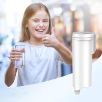 China G/E Profile Opal Ice Maker Water Filter NSF Certified Replace Every 3 Months for Maximum for sale