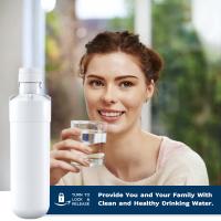 China Compatible French Door Refrigerator Water Filter Replacement With 0.5 Micron for sale