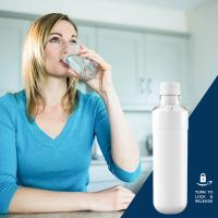 China Compatible French Door Refrigerator Water Filter Replacement With 0.5 Micron for sale