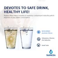 China Quick Fitting P4INKFILTR Refrigerator Water Filter Replacement with Private Mold for sale