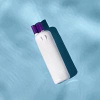 China Coconut Shell Activated Carbon Water Refrigerator Filter EDR1RXD1 Single-Pack Purple for sale