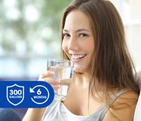 China Activated Carbon LT700P Refrigerator Water Filter Cartridge Replacement Quick Fitting for sale