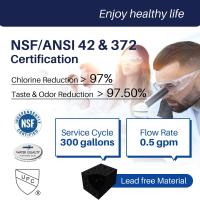China NSF42/NSF53 Certified G E XWFE Refrigerator Water Filter WR17X30702 Ozone Purifier for sale