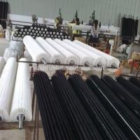 China Stainless Steel Shaft Nylon Roller Brush for Glass Cleaning Custom Size 100mm for sale