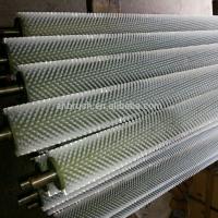 China Stainless Steel Shaft Nylon Roller Brush for Glass Cleaning Custom Size 100mm for sale