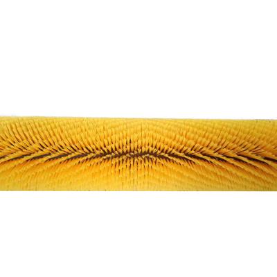 China Industrial Nylon Roller Brush 125mm for Fruit Vegetable Cleaning for sale