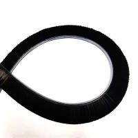 China Eco Friendly Adhesive Backed Nylon Brush Strip for Door Bottom 10mm for sale