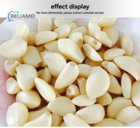 China Fully Automatic Garlic Peeling Machine Commercial High Efficiency Peeler For Onion And Shallot for sale