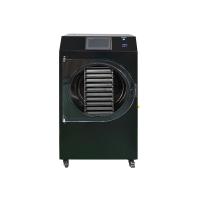 China Home And Commercial Dual Use Vacuum Freeze Dryer Energy Saving Drying Machine For Fruits And Pet Treats for sale