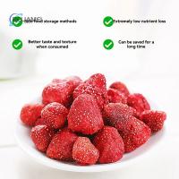 China Home And Commercial Dual Use Vacuum Freeze Dryer Energy Saving Drying Machine For Fruits And Pet Treats for sale