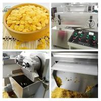 China Breakfast Cereal Food Processing Line Twin Screw Extruder Instant Corn Flakes Production Equipment for sale