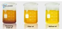 China Industrial Crude Edible Oil Refining Machine Soybean Tea Seed Oil Bleaching Degreasing Complete Equipment for sale