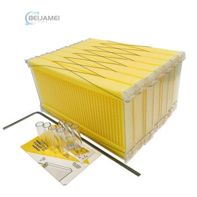 China US Stock Fast Receipt 2-5 Days Honey Auto Flowing Automatic Beehive Honey Bee House Bee Hive Box Kit for sale