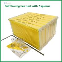 China US Stock Fast Receipt 2-5 Days Honey Auto Flowing Automatic Beehive Honey Bee House Bee Hive Box Kit for sale