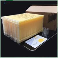 China US Stock Fast Receipt 2-5 Days Honey Auto Flowing Automatic Beehive Honey Bee House Bee Hive Box Kit for sale