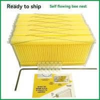 China US Stock Fast Receipt 2-5 Days Honey Auto Flowing Automatic Beehive Honey Bee House Bee Hive Box Kit for sale