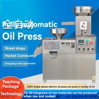 China Fully Automatic Commercial Medium-sized Oil Mill Stainless Steel Small Rapeseed Sesame Sesame Oil Walnut for sale