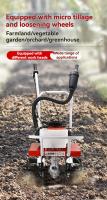 China Agricultural Micro Tiller, Hard Soil Loosening and Trenching Tool, Paddy Field Weeding and Tillage Machine for sale